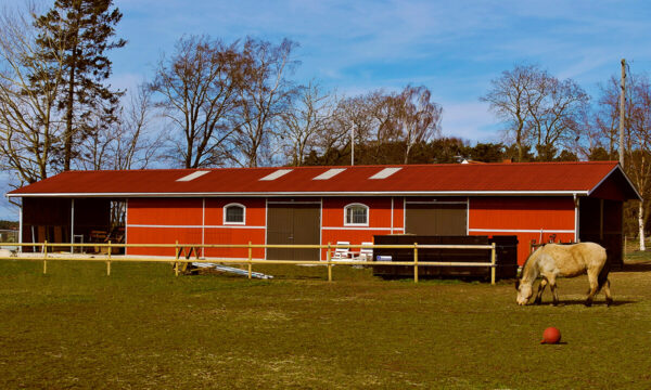 Bygga stall? Köp komplett stall anpassat efter dina behov. - Uteboxen.se